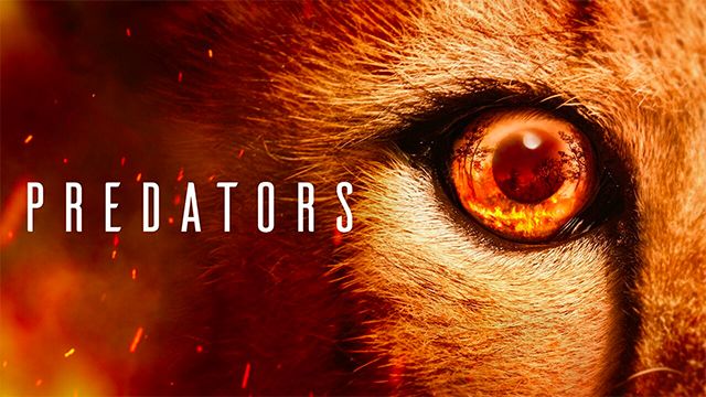 Netflix Predators Nature Documentary Series Trailer Featuring ALIBI ...